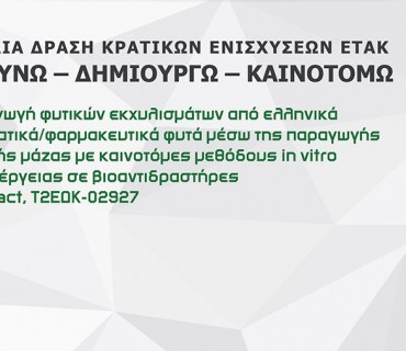 Φυτώριο - Vitro Hellas - Φυτώριο